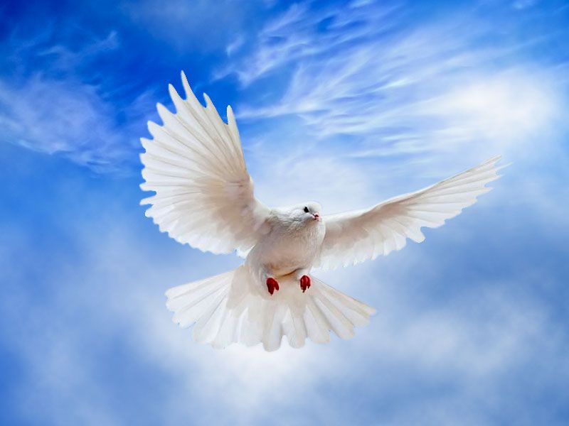 Un monde de paix - medias-presse.info