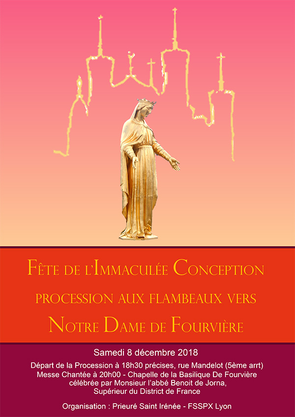 Les flambeaux à Lyon