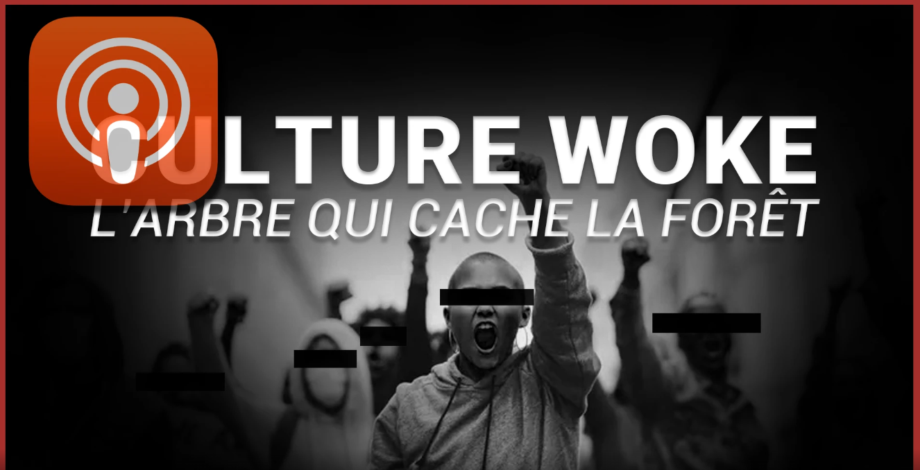 Wokisme : l'arbre qui cache la forêt - medias-presse.info